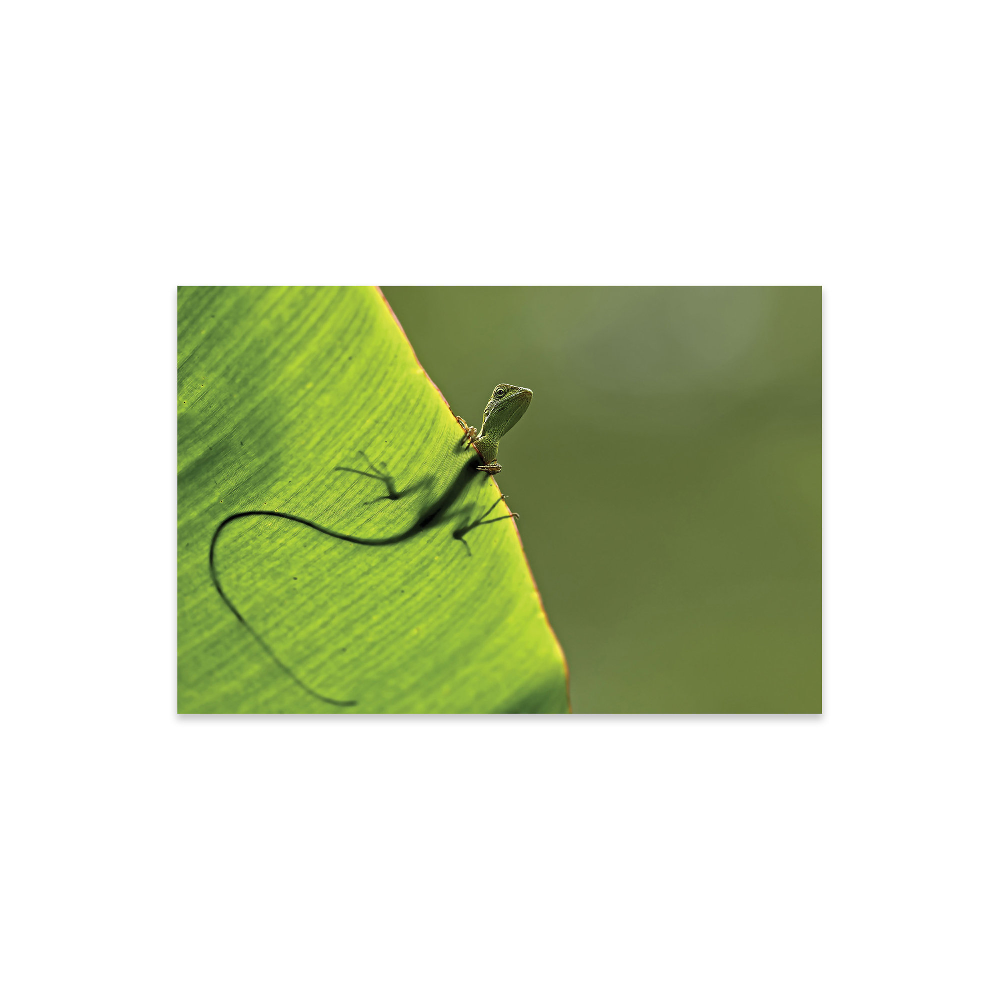 Ebern Designs Hallo On Plastic/Acrylic by Yoline Santosa Painting | Wayfair